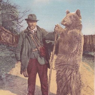 L’Ours des Pyrénées, entre mythe et réalité | – Site de l'association ...